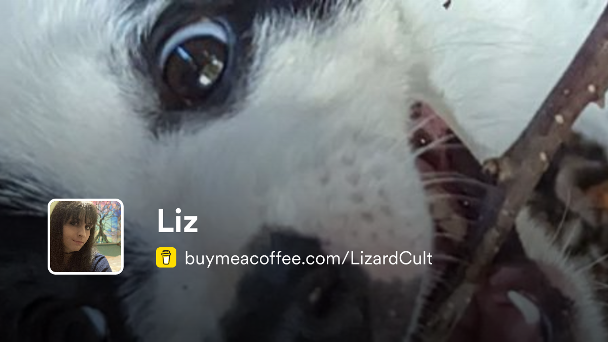 Liz is Making lasting friendships and spreading kindness - Buymeacoffee
