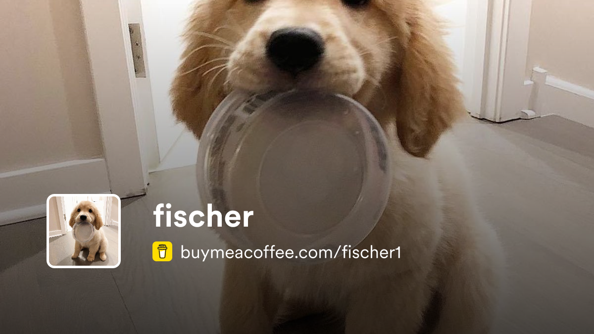 fischer - Buymeacoffee