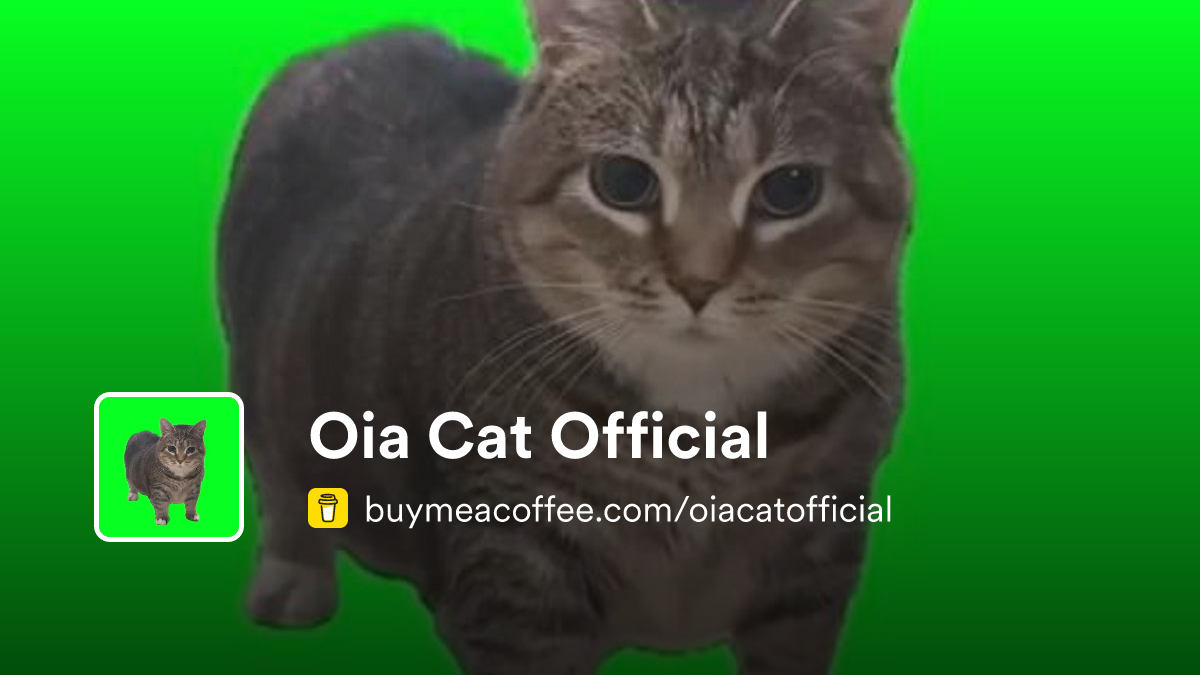 Oia Cat Official - Buymeacoffee