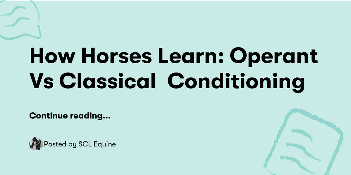 How Horses Learn: Operant Vs Classical Conditioning — SCL Equine ...