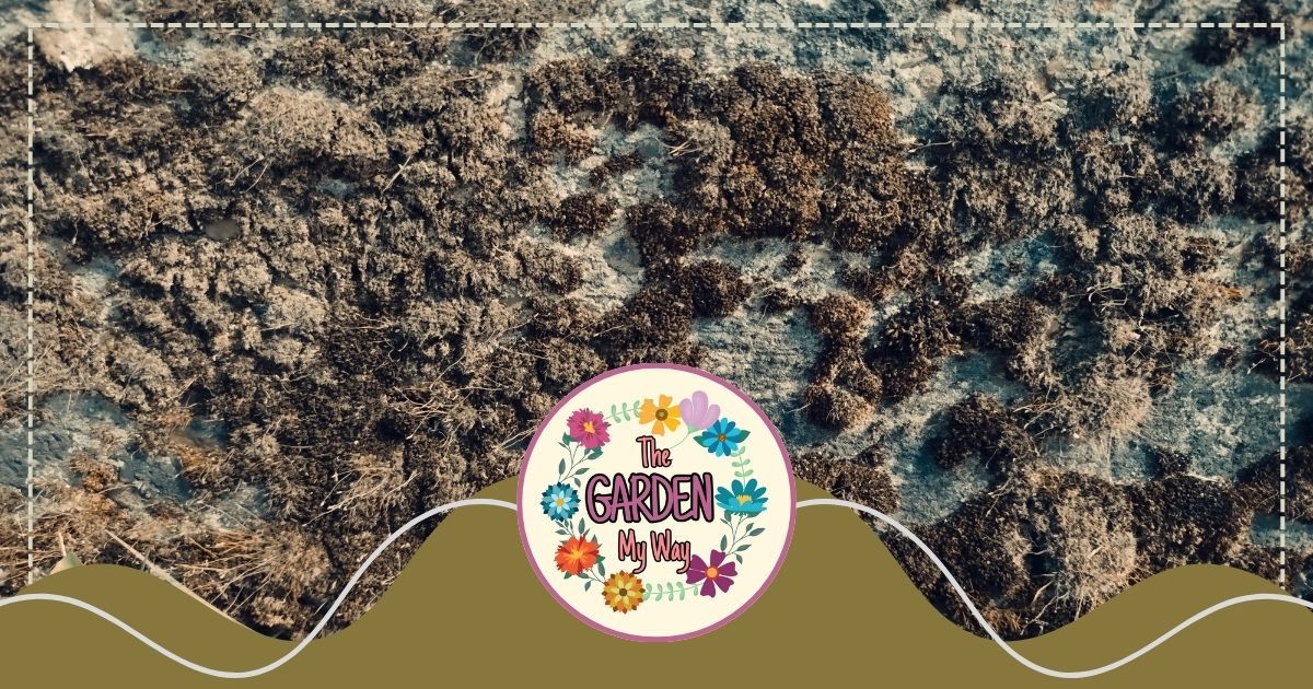 Dust, Dirt, and Microscopic Travelers – What’s Floating Around in Your ...