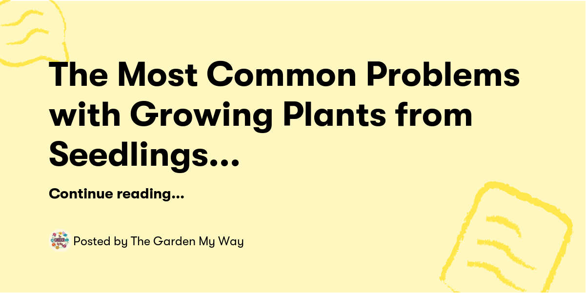 The Most Common Problems with Growing Plants from Seedlings – How I ...