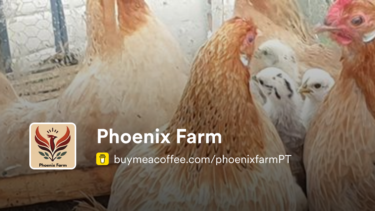 Membership | Phoenix Farm - Buymeacoffee