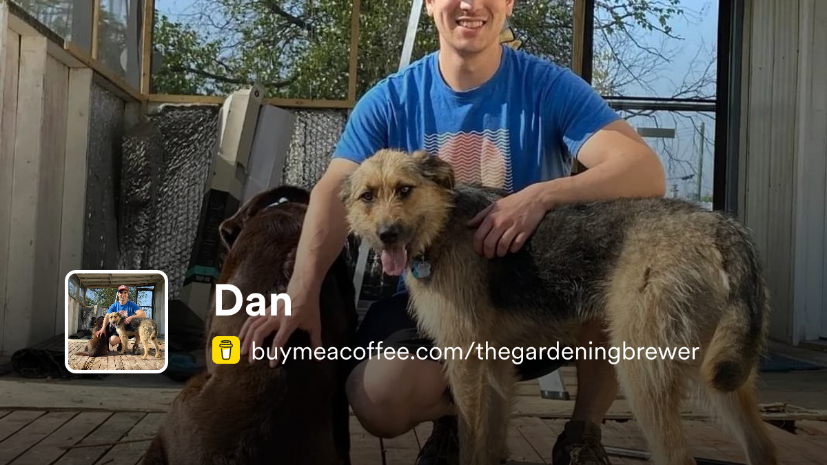 Dan - Buymeacoffee