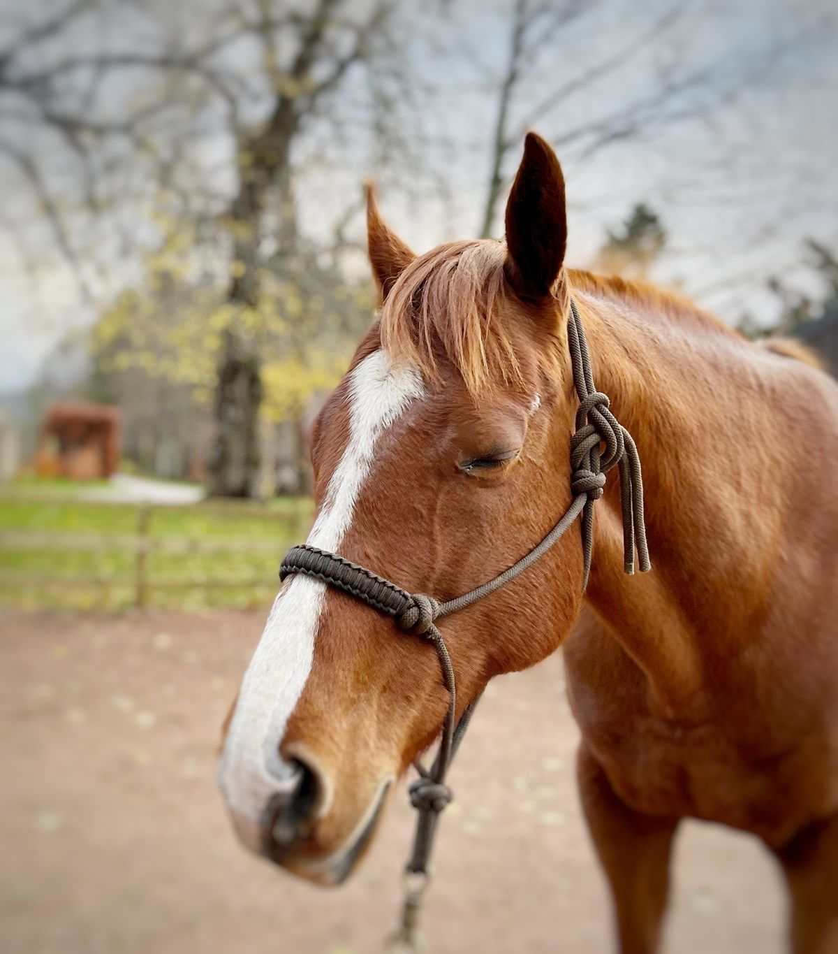 The Story Versus the Reality. — Tania Kindersley - Buymeacoffee