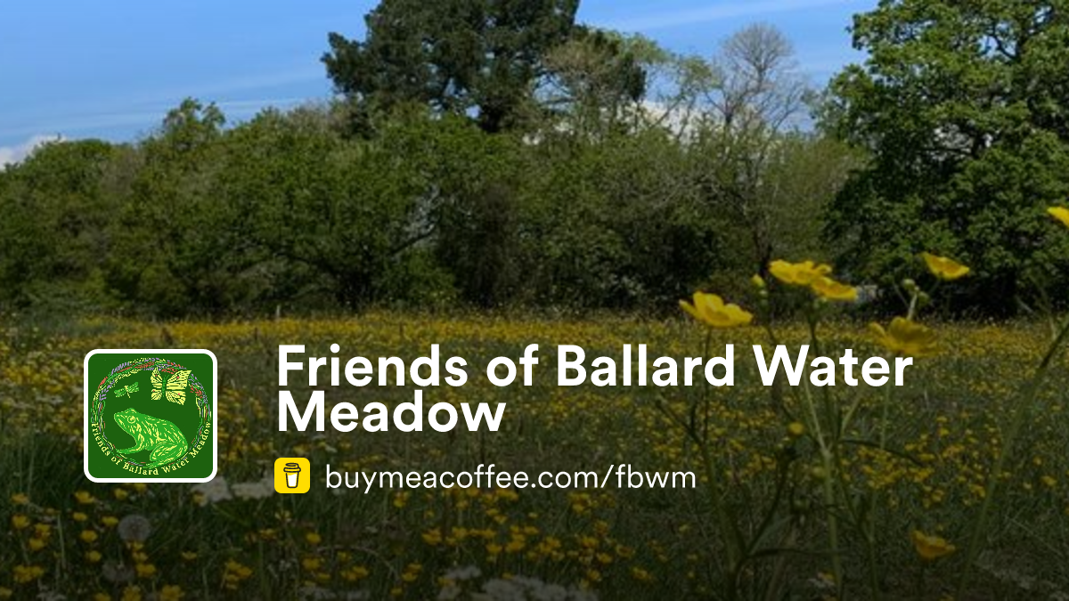 Friends of Ballard Water Meadow - Buymeacoffee