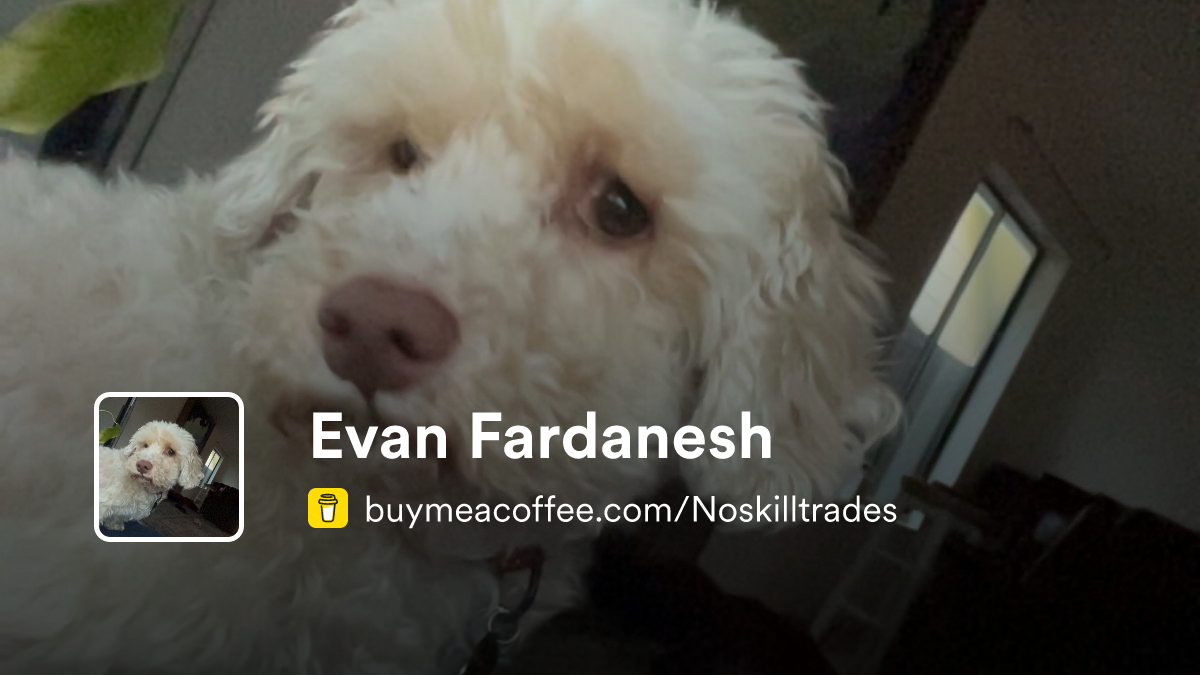 Evan Fardanesh - Buymeacoffee