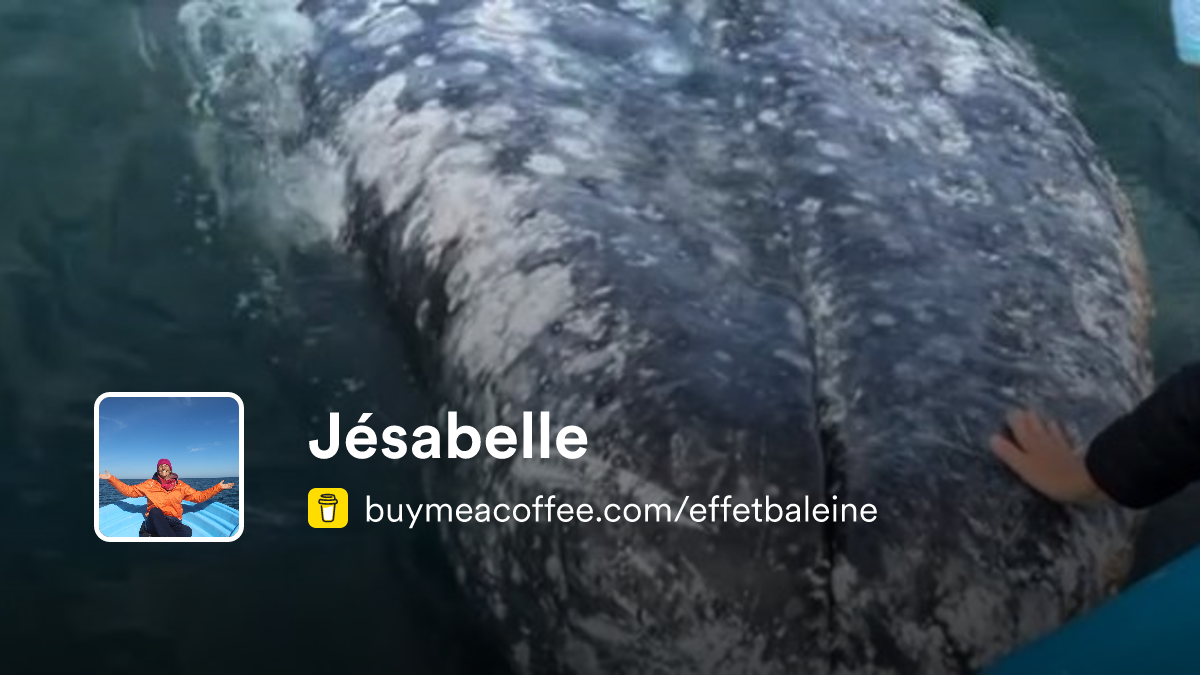 Jésabelle - Buymeacoffee