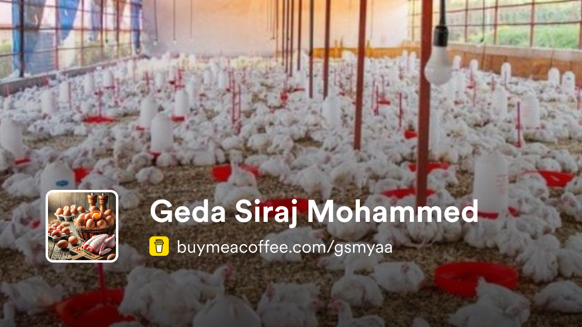 Geda Siraj Mohammed - Buymeacoffee