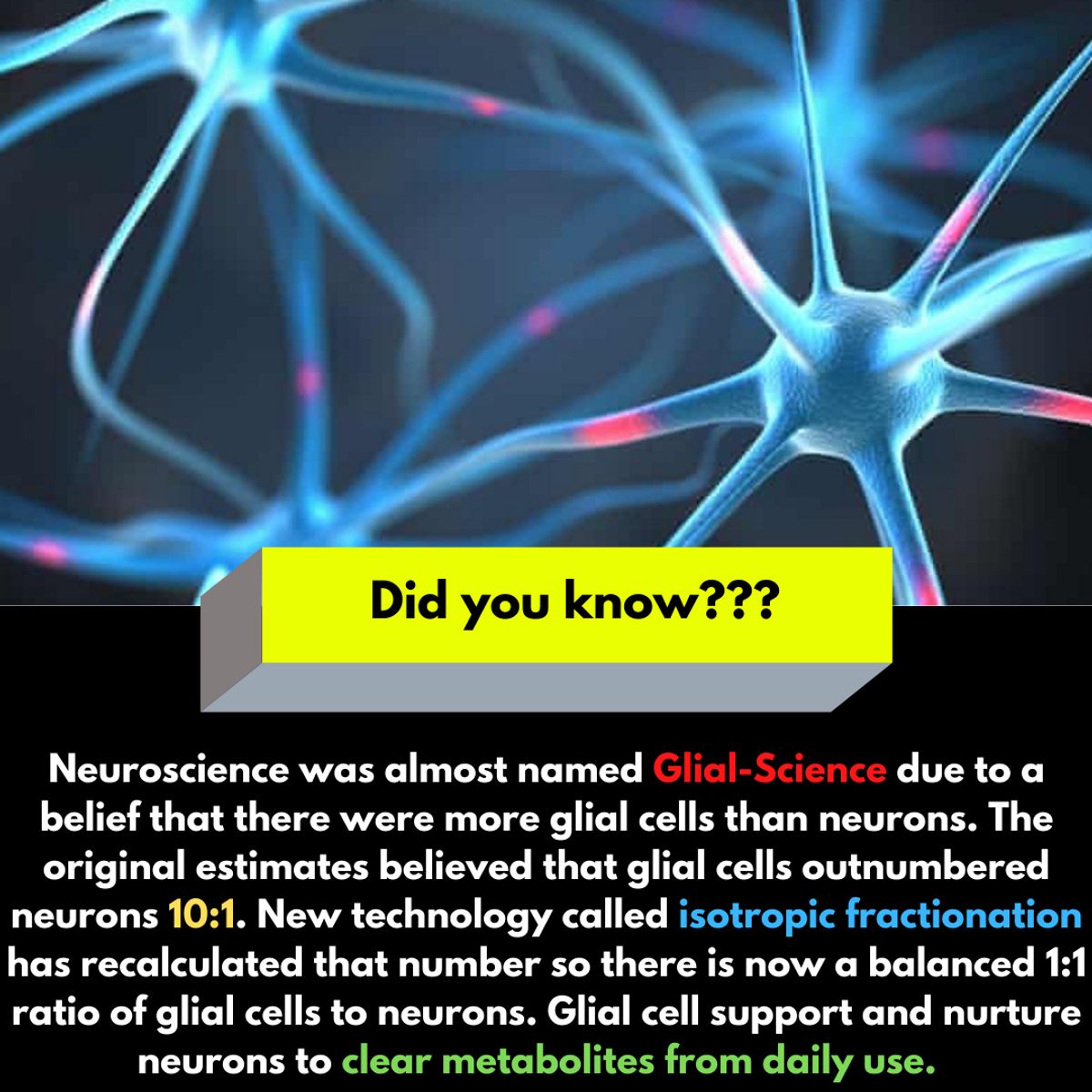 Detoxing from Brain Fog with 3 Simple Strategies — Dr. Chris Lee ...