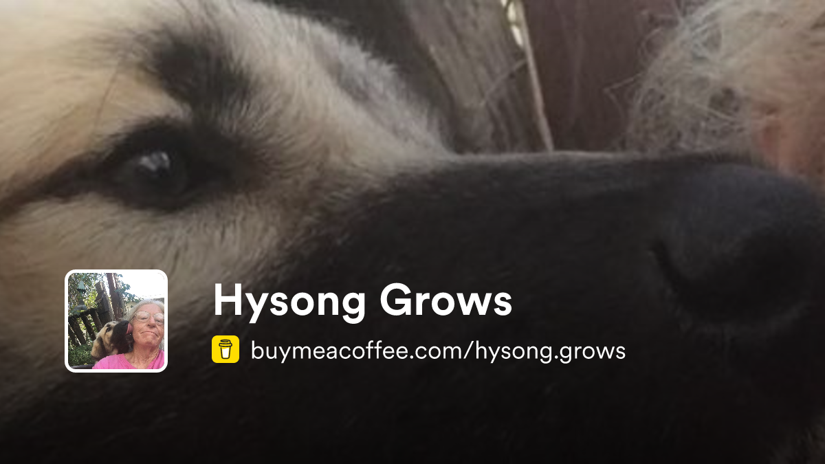 Hysong Grows - Buymeacoffee