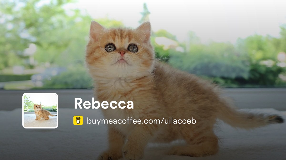 Rebecca - Buymeacoffee