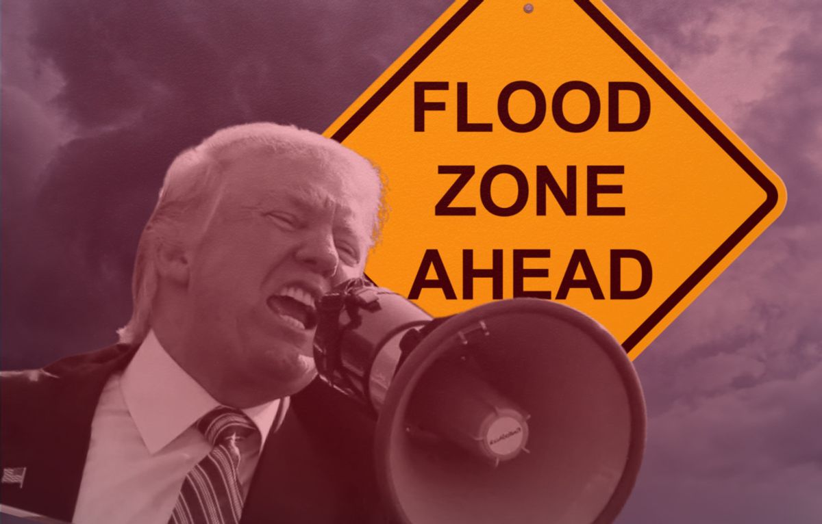 Donald Trump's 60 Days of Chaos — Shane Almgren - Buymeacoffee