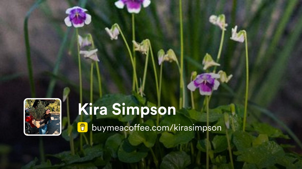 Kira Simpson - Buymeacoffee