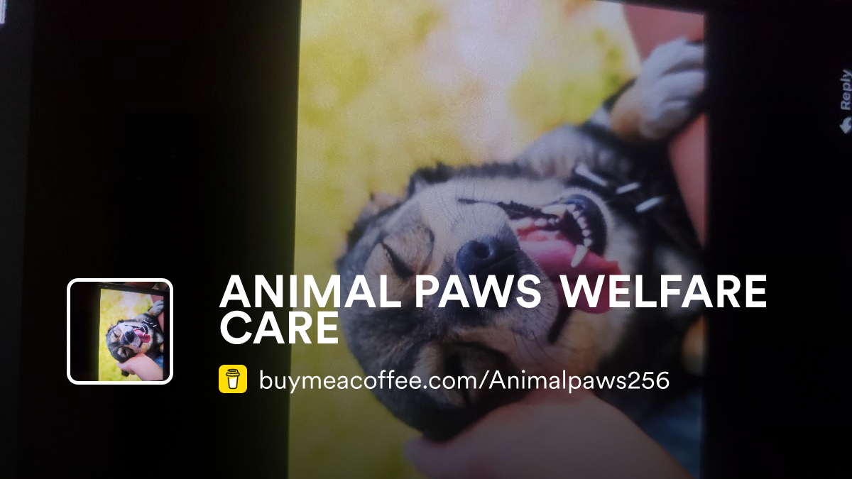 ANIMAL PAWS WELFARE CARE is Medical Aid for sick dogs - Buymeacoffee