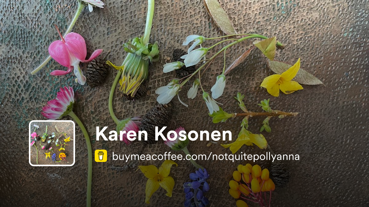 Karen Kosonen - Buymeacoffee
