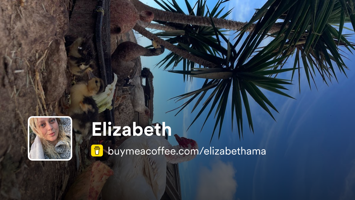 Elizabeth - Buymeacoffee