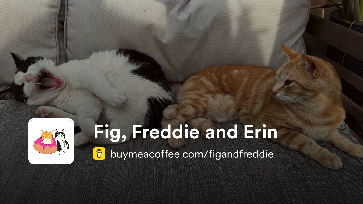 Fig, Freddie and Erin - Buymeacoffee