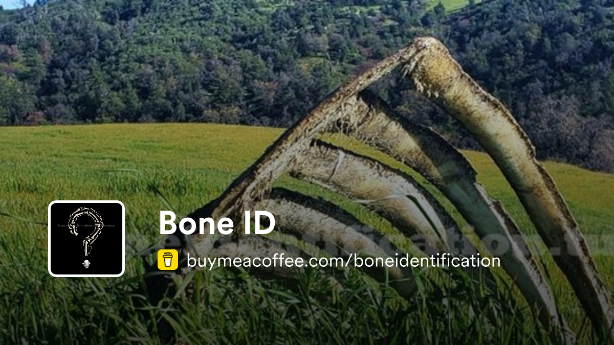 Bone ID - Buymeacoffee