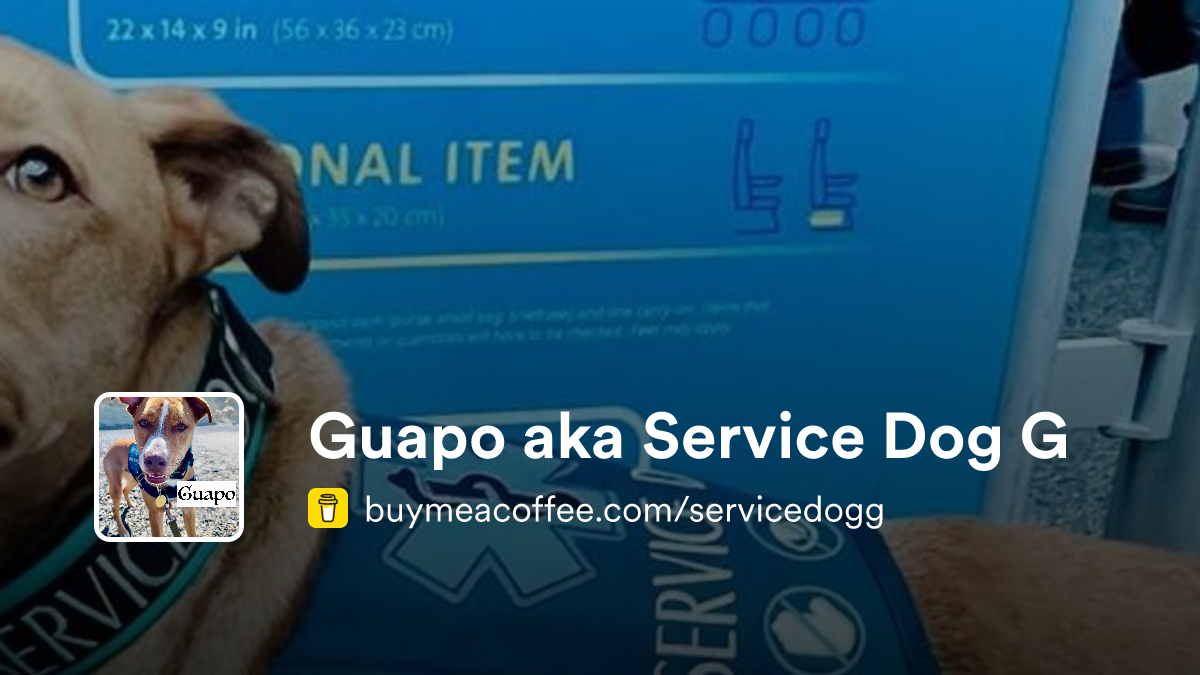 Gallery | Guapo aka Service Dog G - Buymeacoffee
