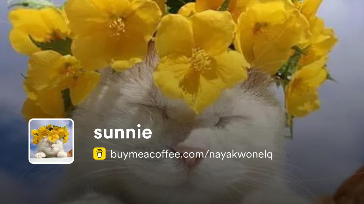 sunnie - Buymeacoffee
