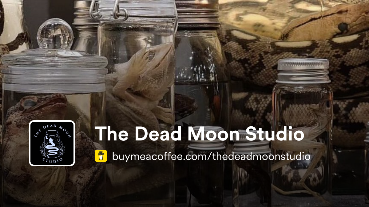 The Dead Moon Studio is an oddities shop working towards opening a brick&mortar in Salem, MA🖤 ...