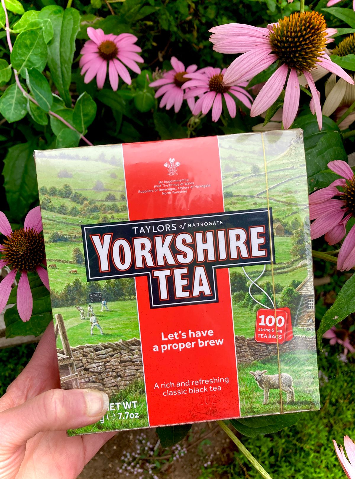 Tea Review: Yorkshire Red (aka "Grade A Writer Fuel") — Tammie Painter ...