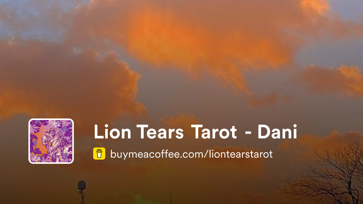Lion Tears Tarot - Dani - Buymeacoffee