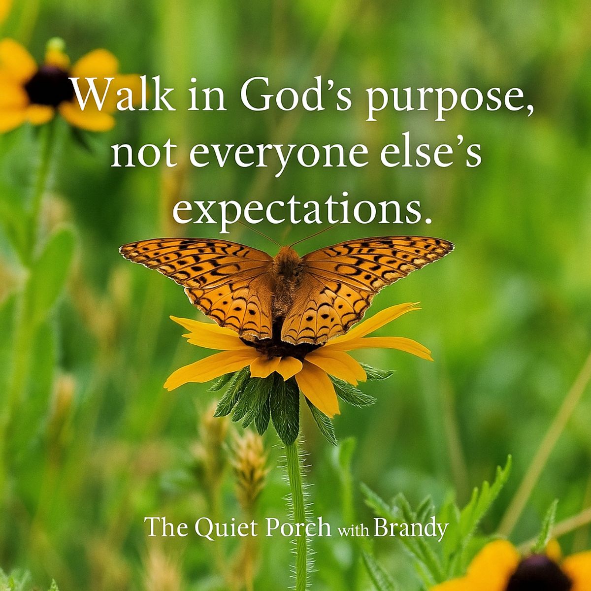 Walk in God’s purpose not everyone else’s expectations — The Quiet ...
