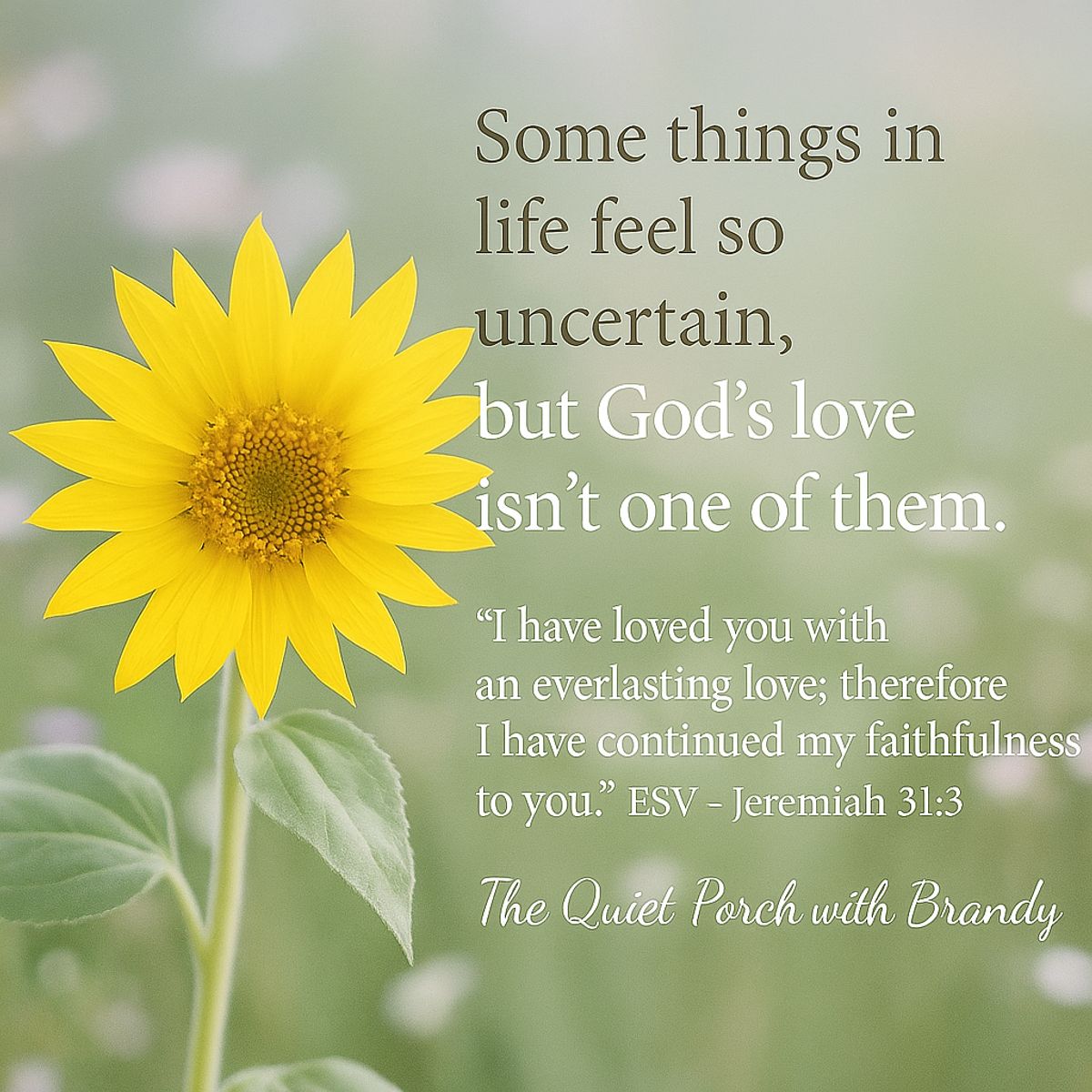 I have loved you with an everlasting love — The Quiet Porch With Brandy ...