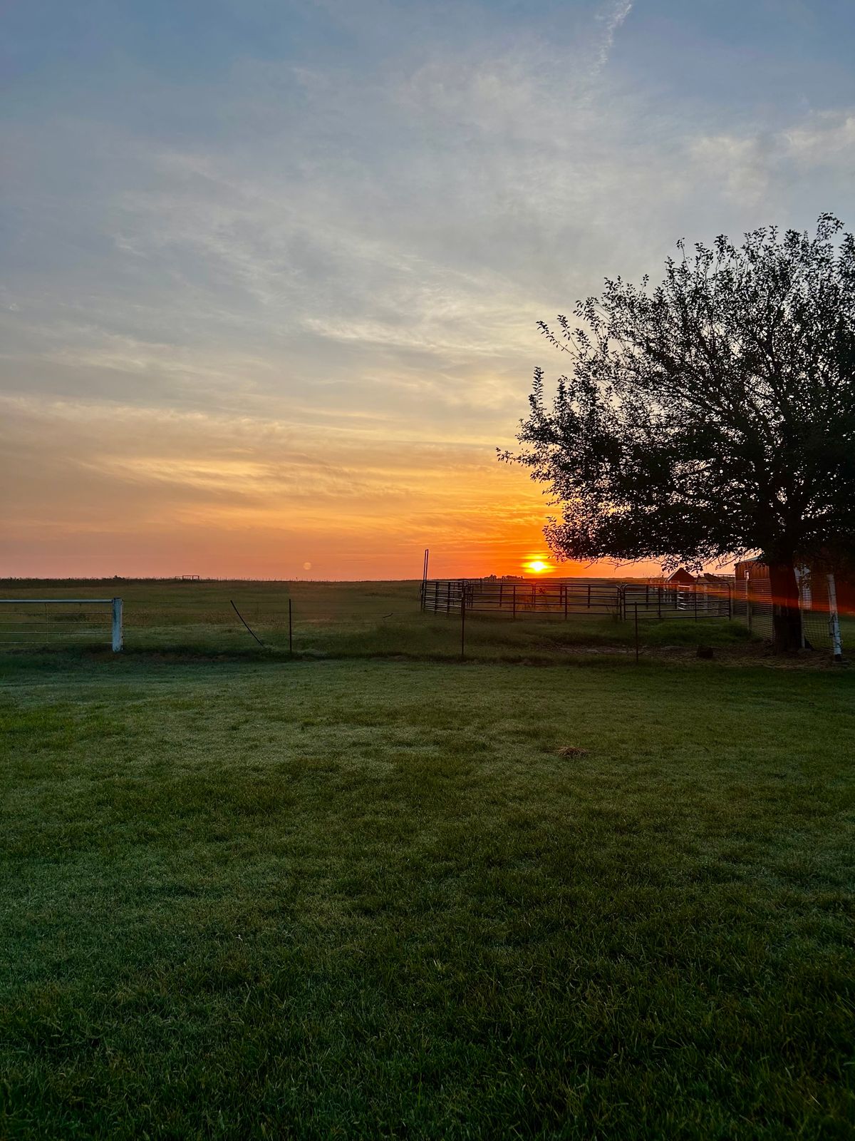 Not of Fear, But of Power, Love, and Self-Control — The Quiet Porch ...