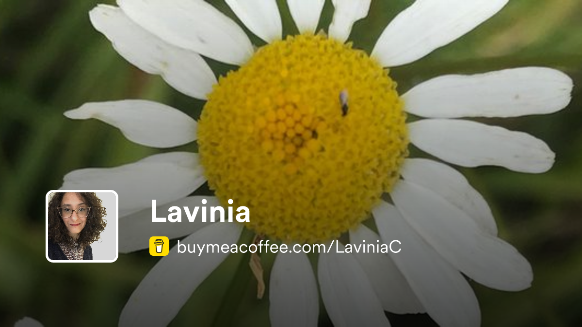 Lavinia - Buymeacoffee