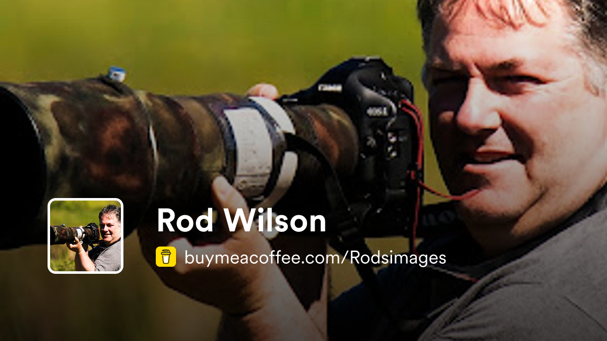 Rod Wilson is Creating Wildlife Images to share with you all, to enjoy ...