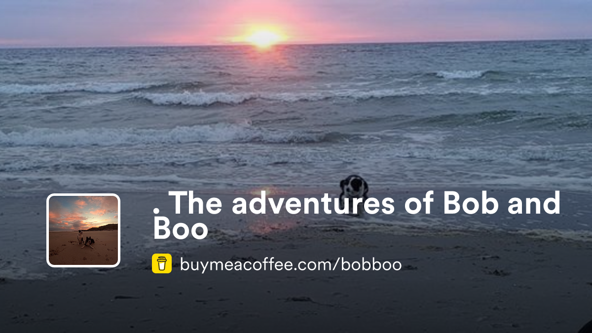 . The adventures of Bob and Boo - Buymeacoffee
