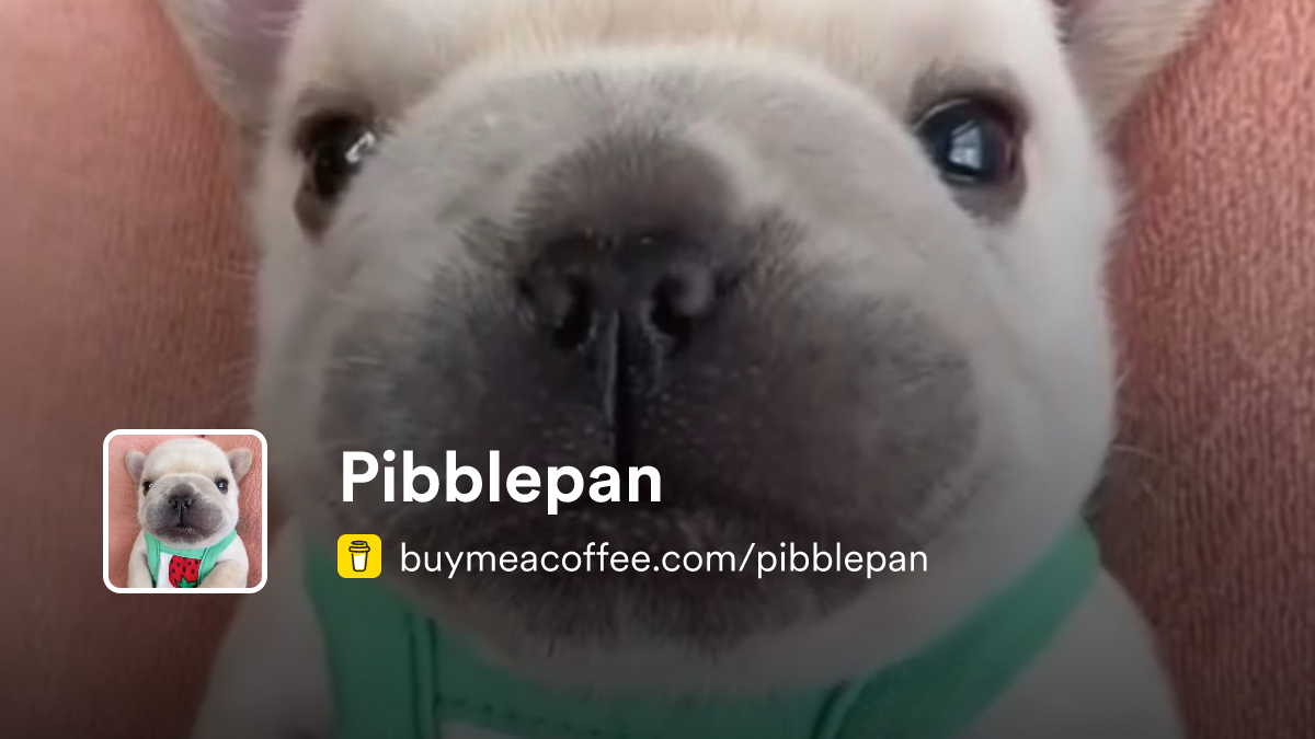 Pibblepan - Buymeacoffee