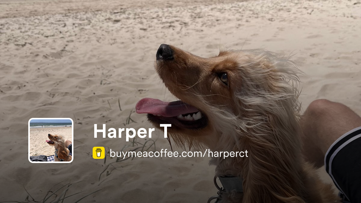 Harper T - Buymeacoffee