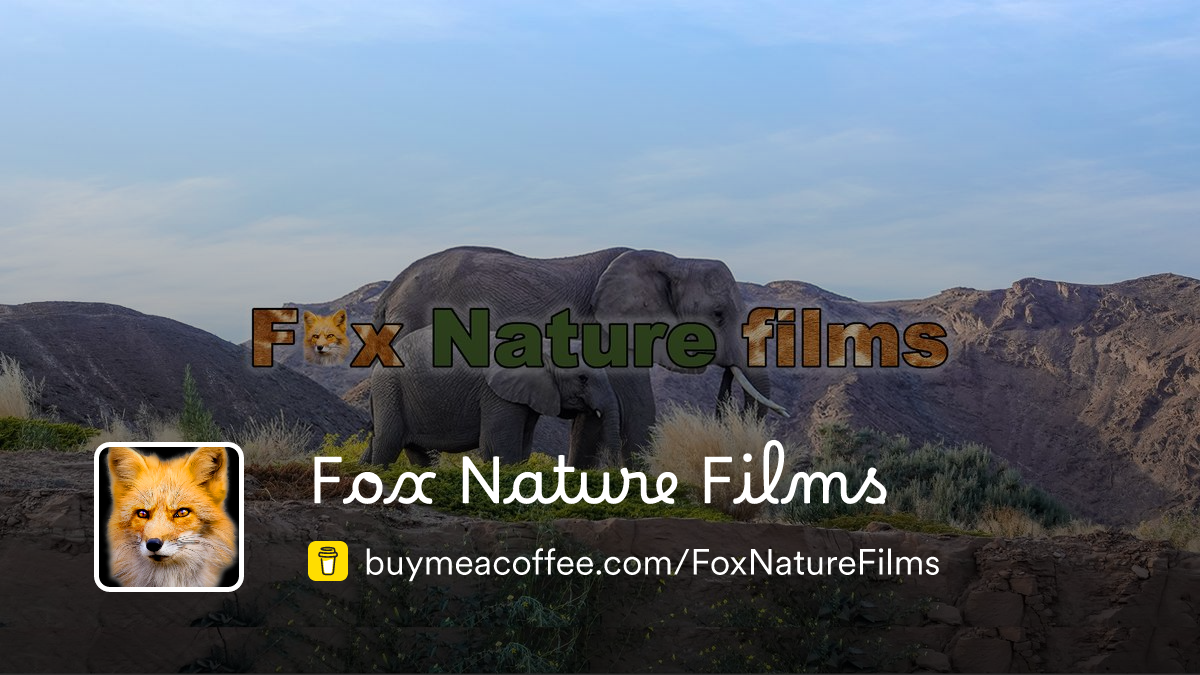 Fox Nature Films is creating Nature videos - Buymeacoffee
