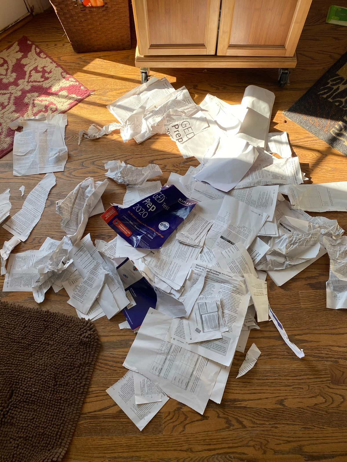 Why the Crash Course? — Kate Redmon - Buymeacoffee