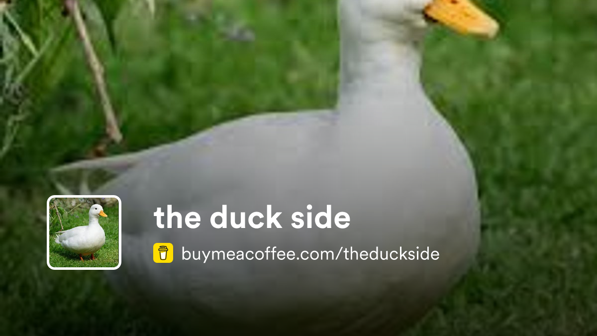 the duck side - Buymeacoffee