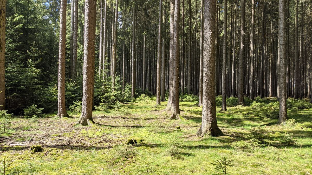 How To Monitor A Distributed System With A Nestjs Application