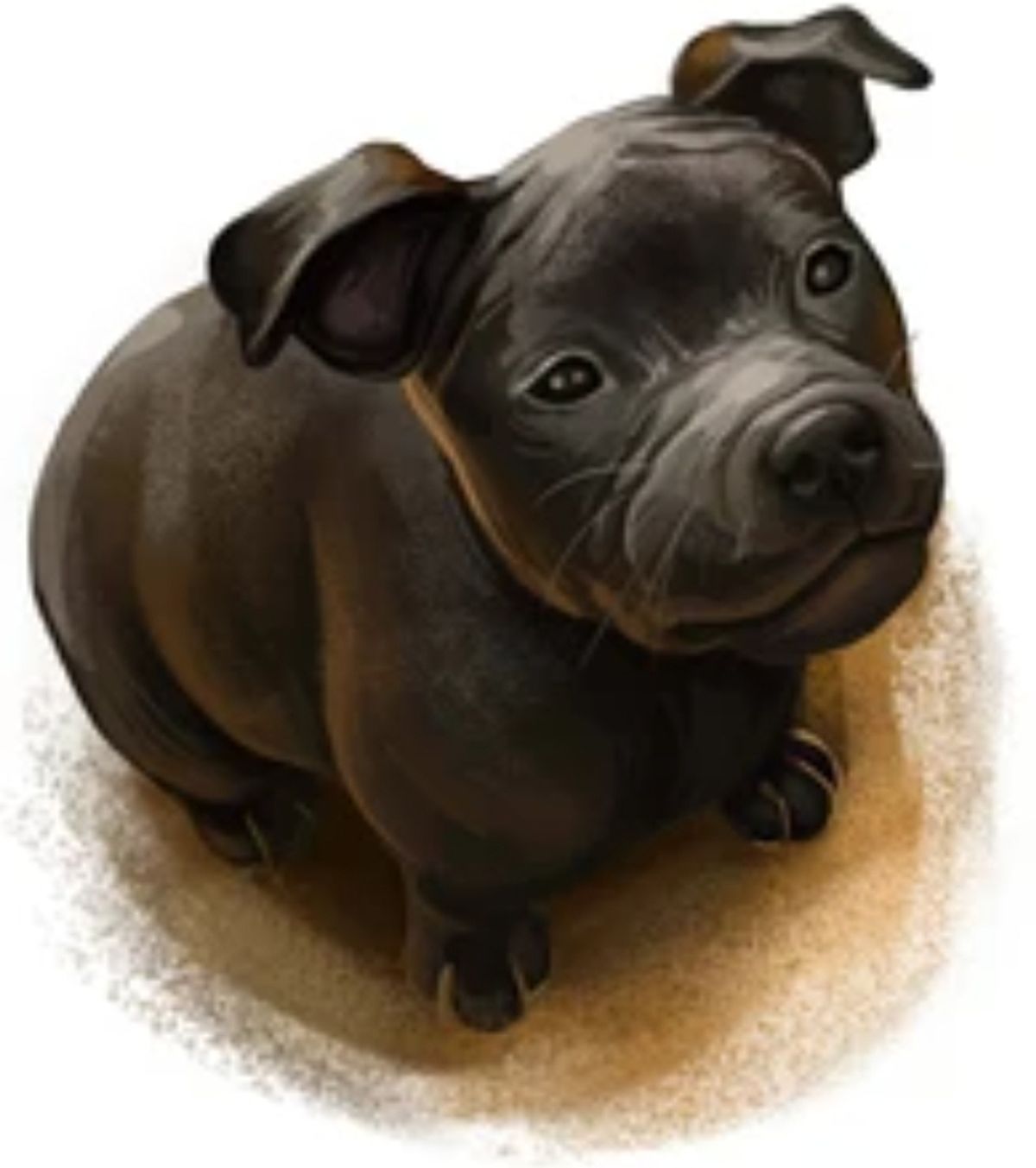 New Chapter - The Beast — Jennifer Elizabeth - Buymeacoffee