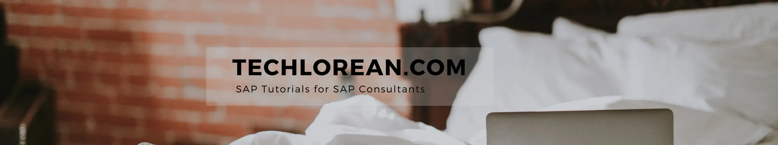 techlorean is creating SAP tutorials for SAP Consultants / Freshers - Buymeacoffee
