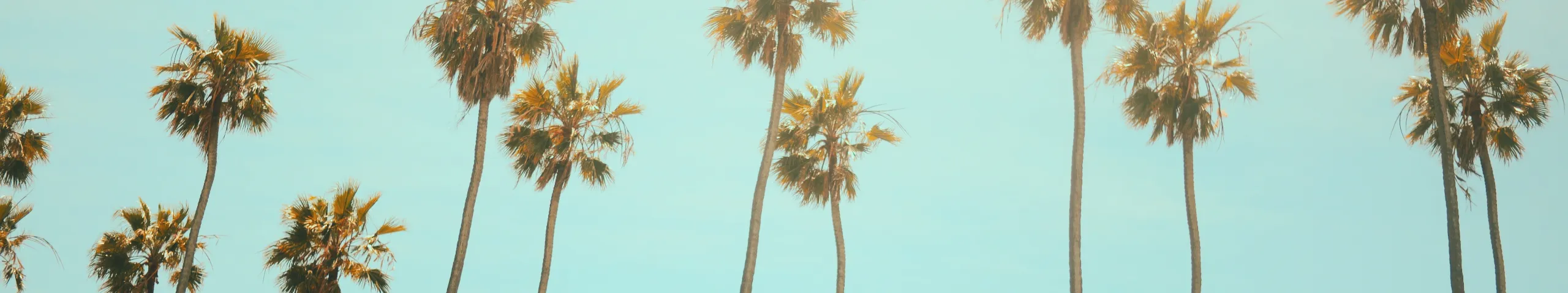 Siiri Parks is Working Hair Magic - Buymeacoffee