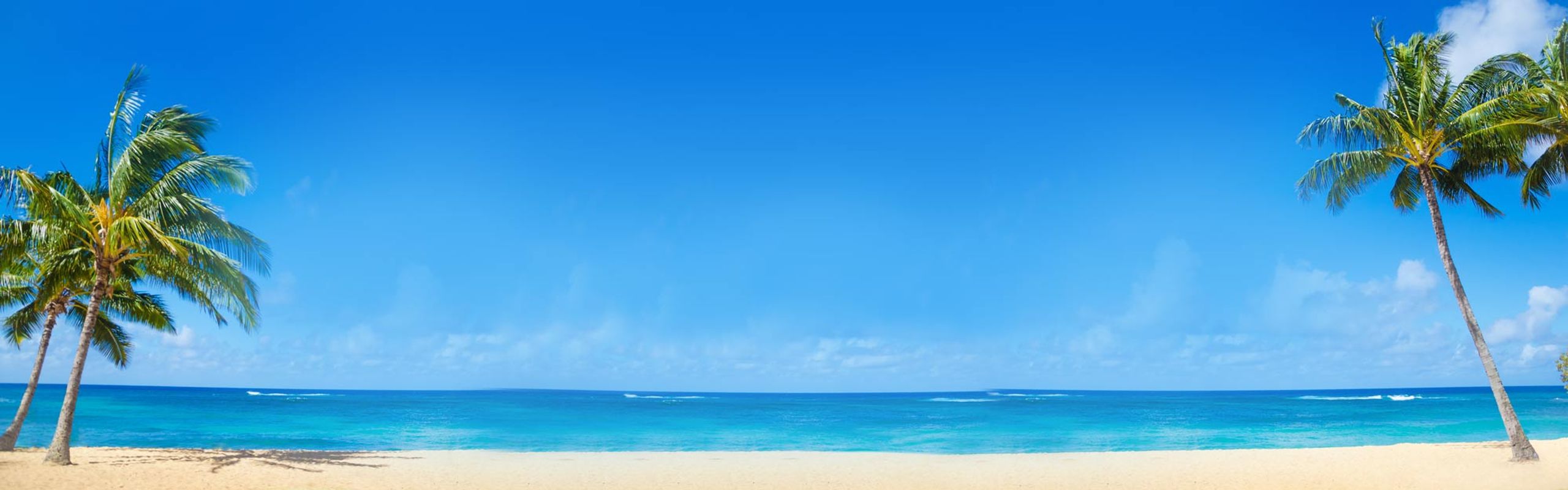 Foshposh is Modeling and creating the best content for her audience