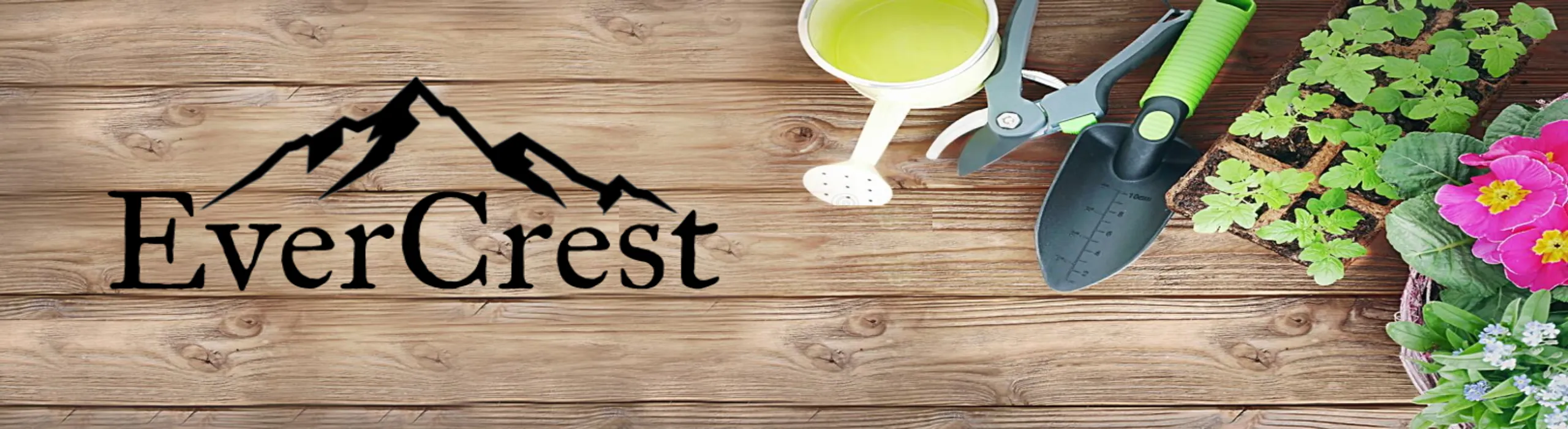 EverCrest is a YouTube and Instagram Content Creator - Buymeacoffee