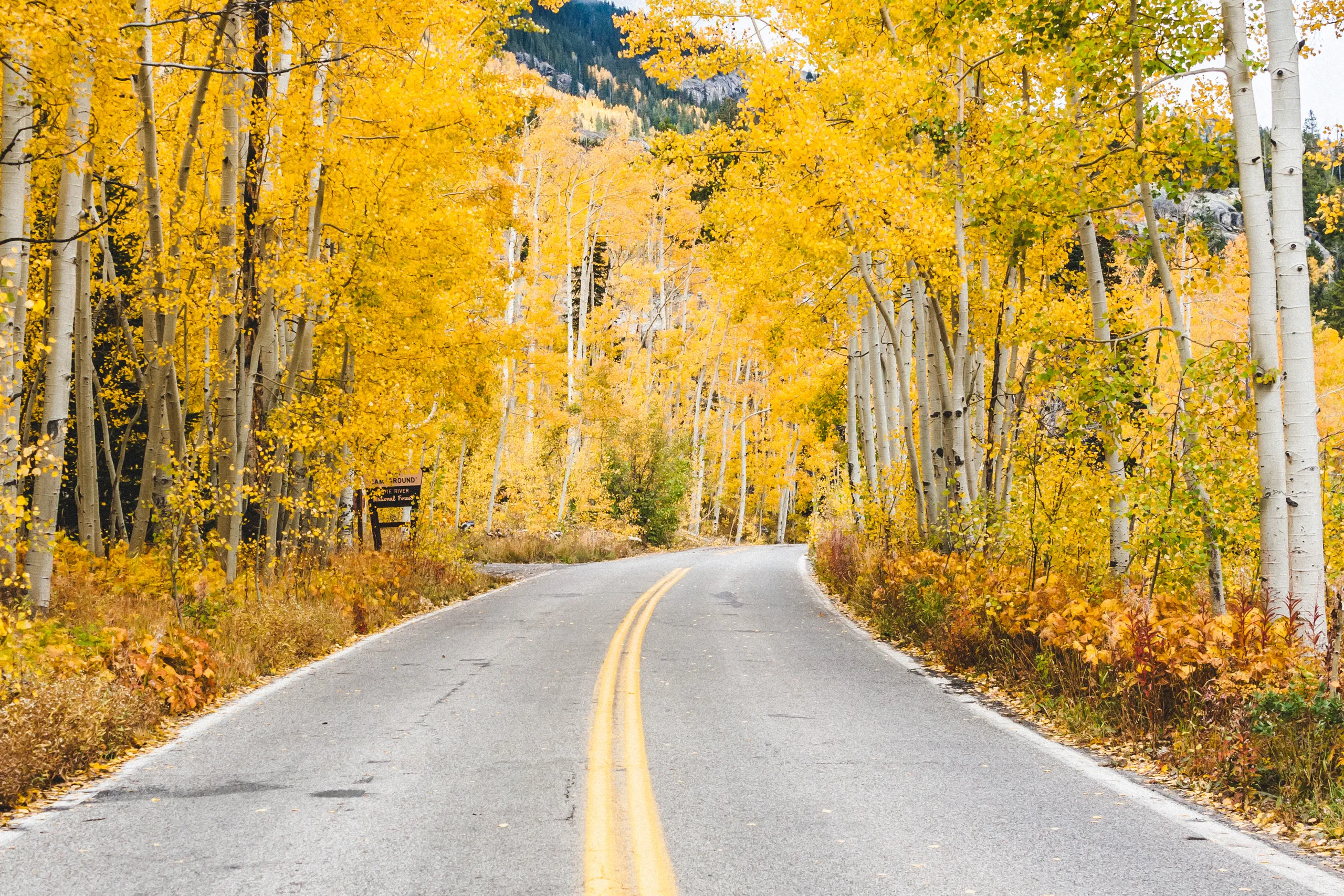 Annabel Ascher - Buymeacoffee