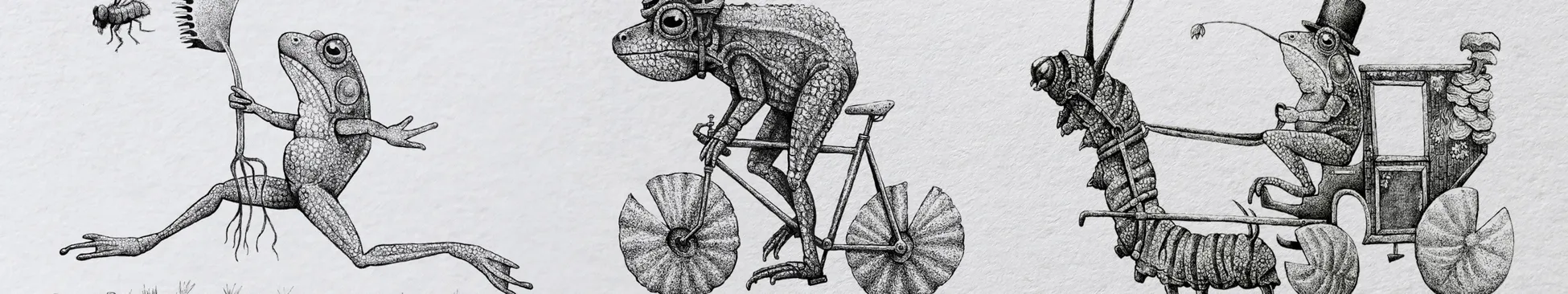 Tim Andraka is Creating Natural History Artwork - Buymeacoffee