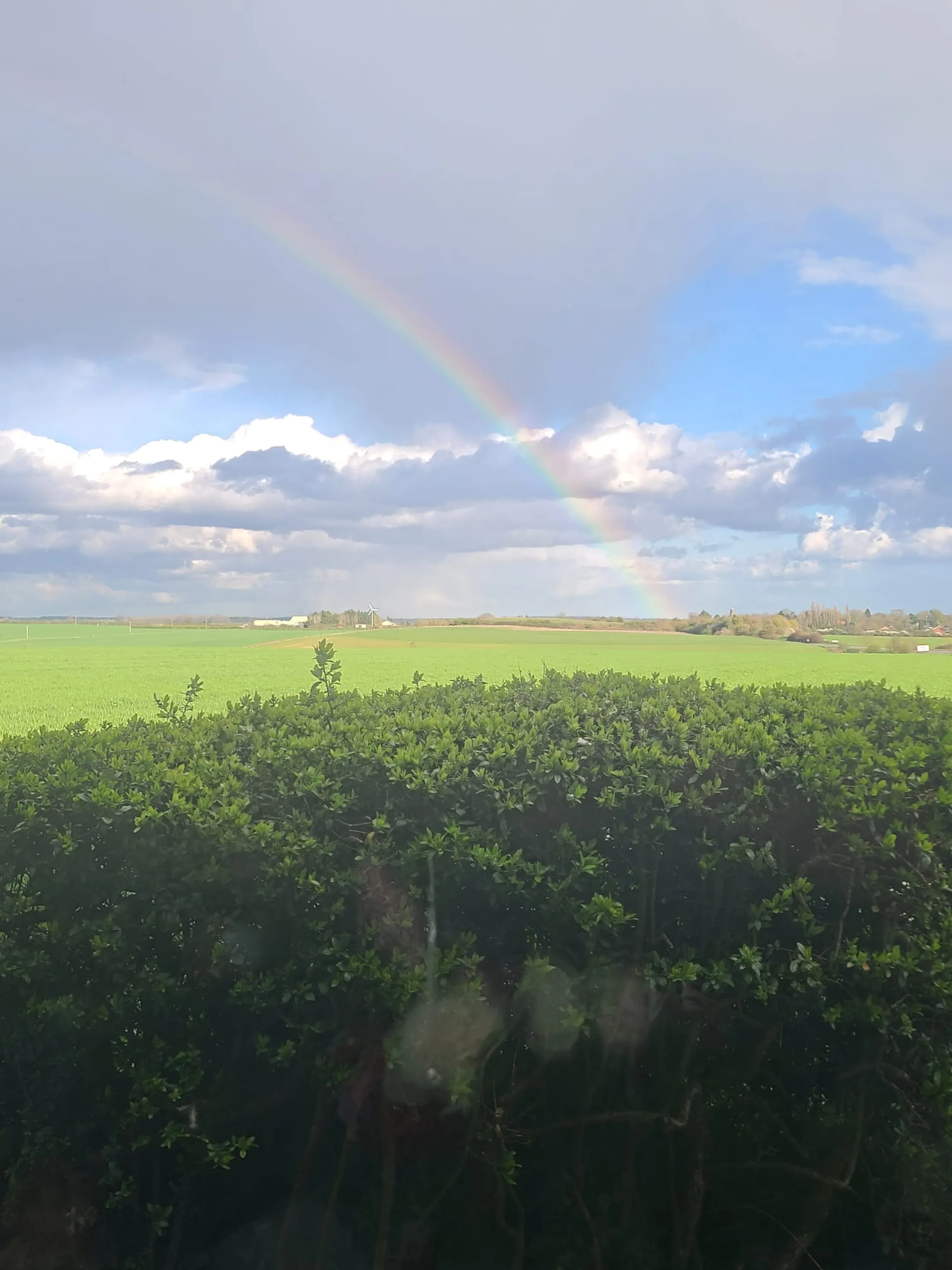 Jess Raue is the creator of Daydreamers Barn on YouTube - Buymeacoffee