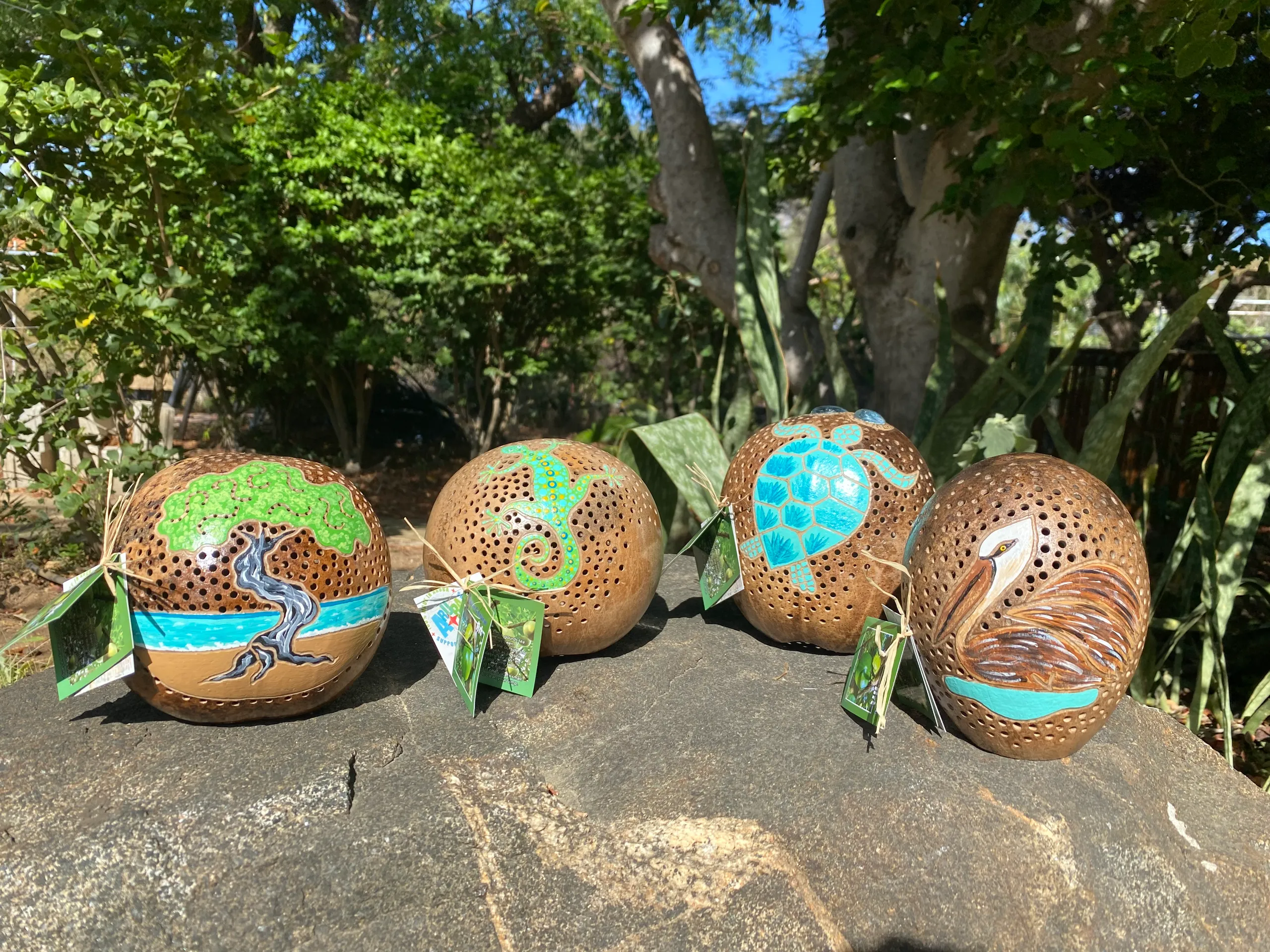 Aruba Calabash Art is One of a kind ecological art pieces with Calabash ...