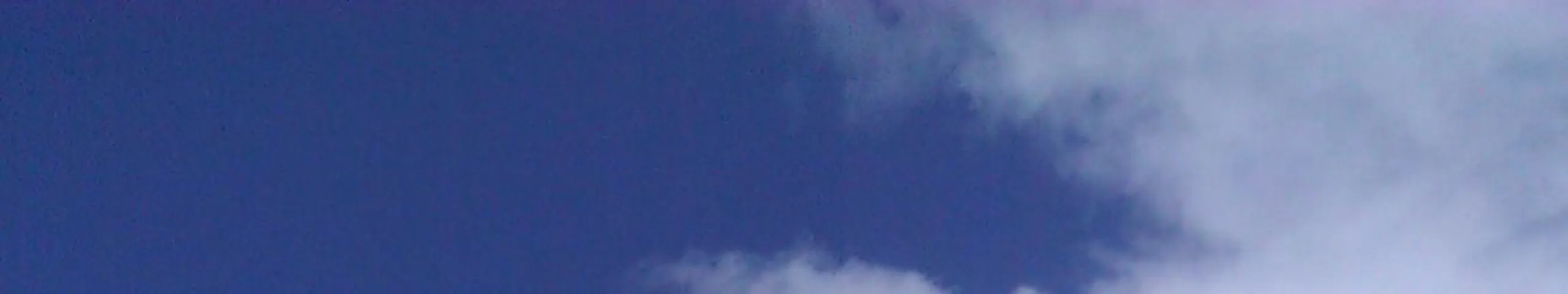 India Reed Bowers is creating-doing-delivering in Pro Bono Human Rights ...